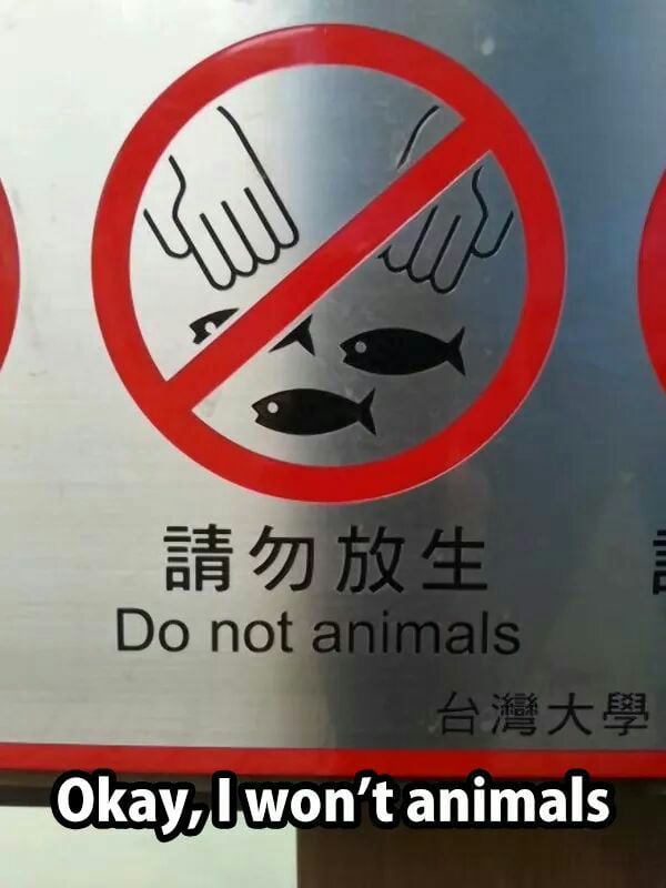 Please do not animals - 9GAG