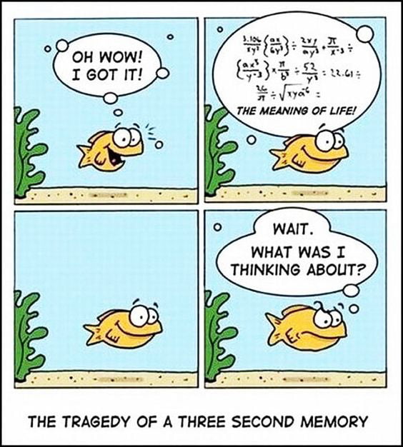 Meaning Of Life 42 9GAG