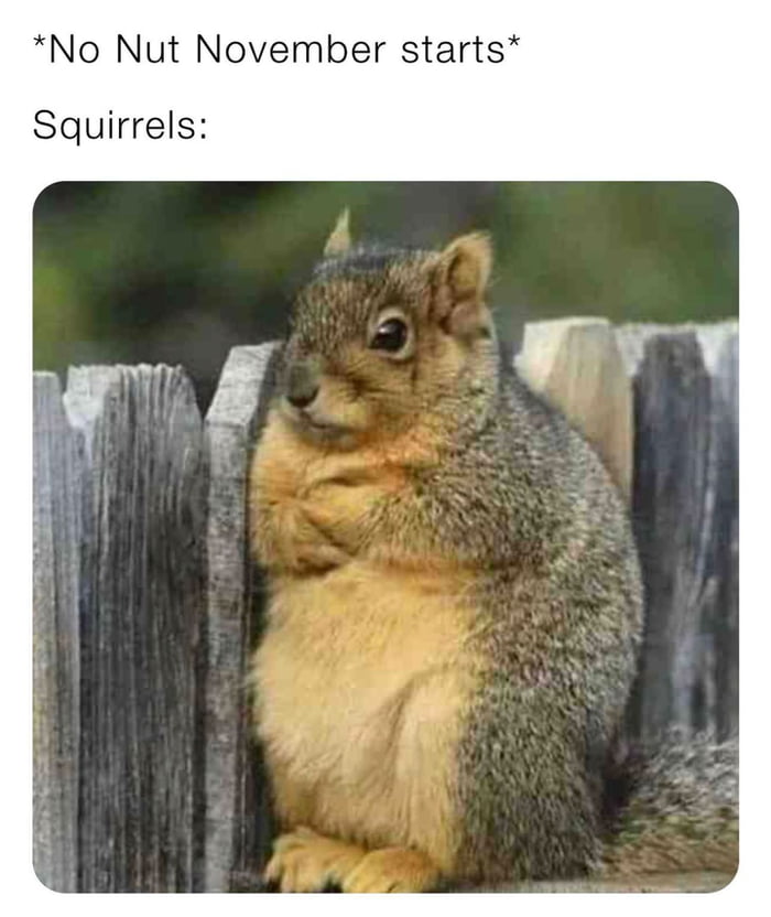 Intense staring - 9GAG