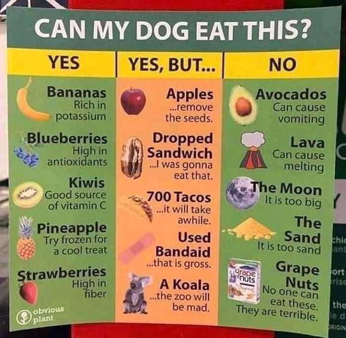 Yeah, grape nuts is a horror - 9GAG