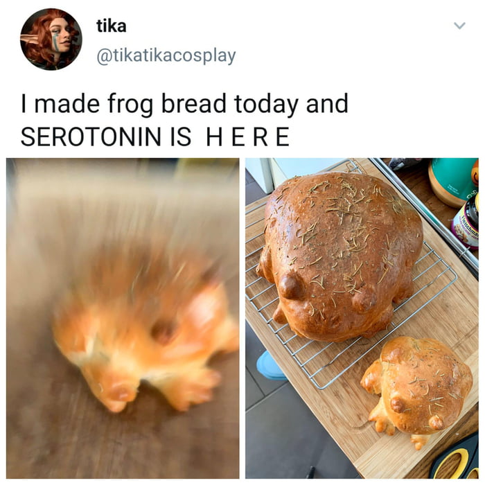 Frog bread. - 9GAG