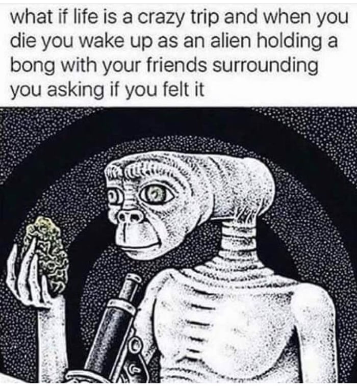 Bad Trip Memes