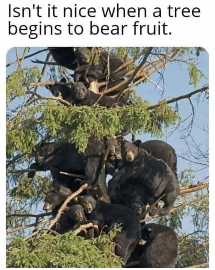 Gimme some of dat fruit plz - 9GAG