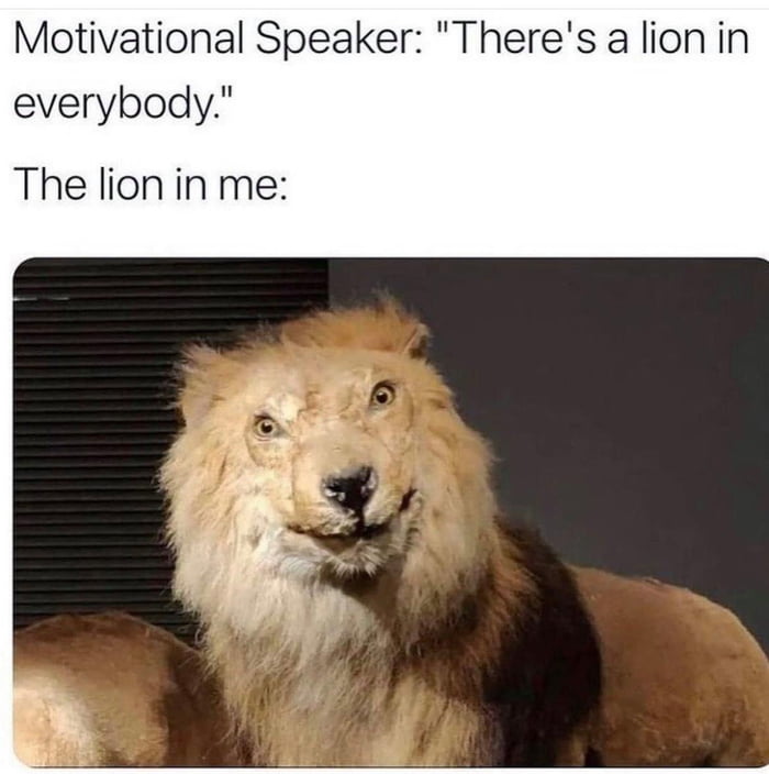 Lion - 9GAG