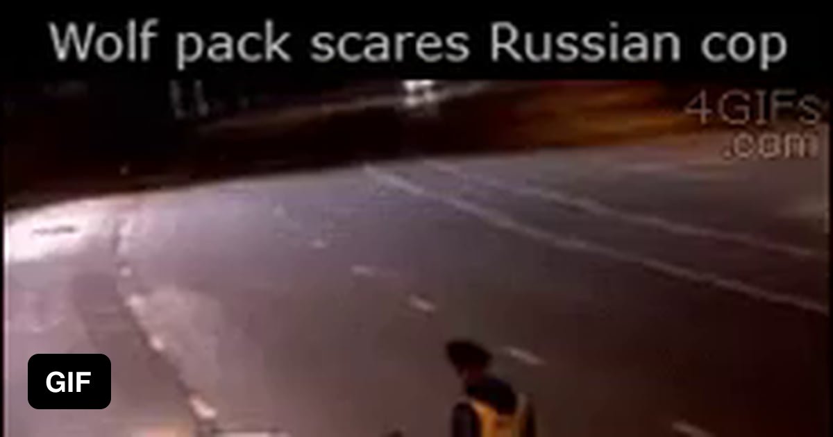 Wolf pack scares Russian cop - 9GAG