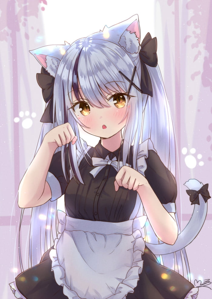 Neko Maid - 9GAG