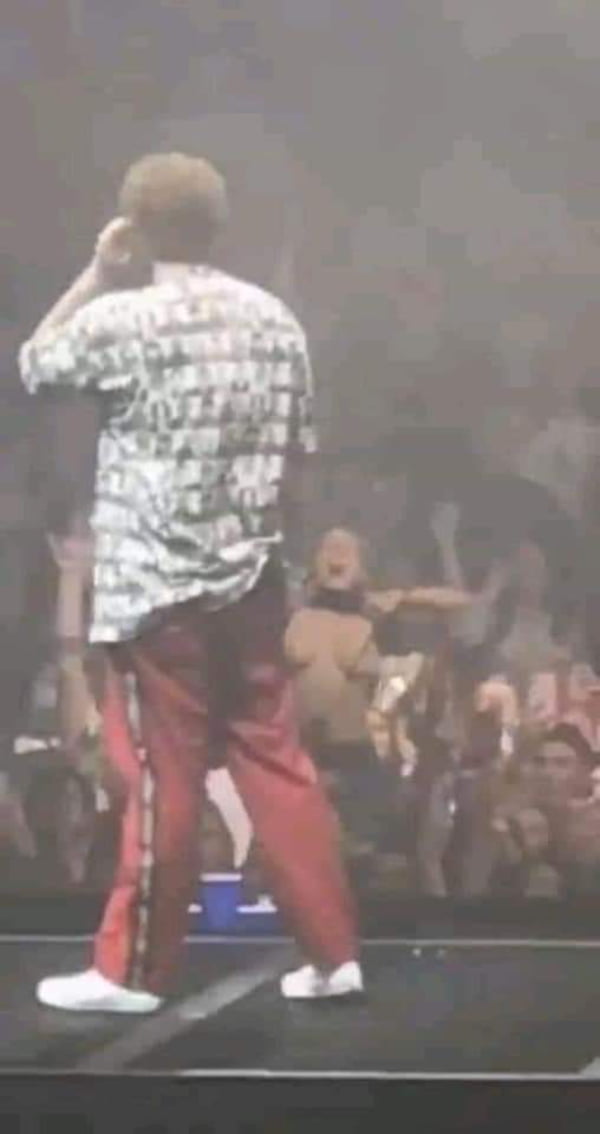 The photo of the "woman flashing post malone" but titties shown - 9GAG