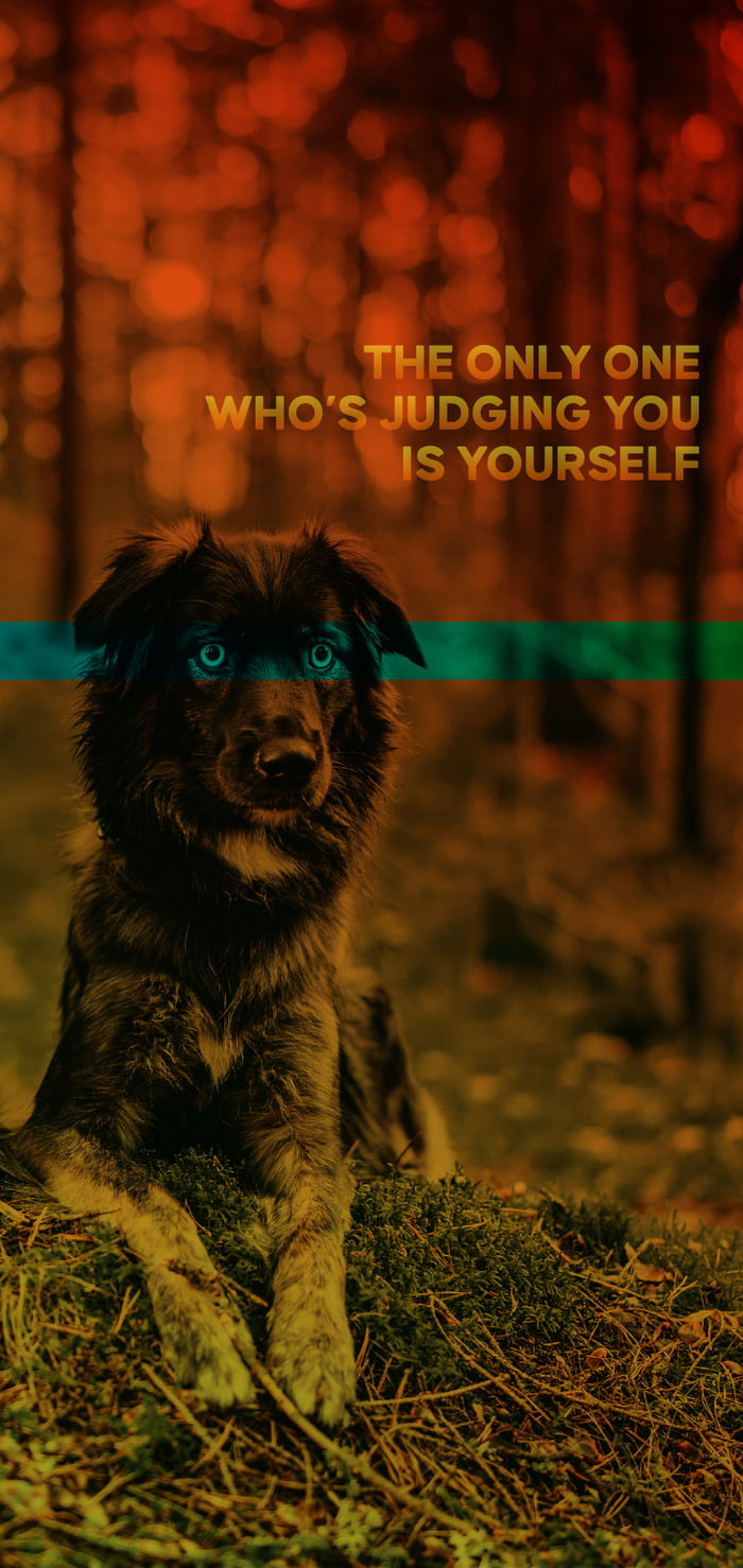 Inspired by Tame Impala's song "Alter Ego" - 9GAG