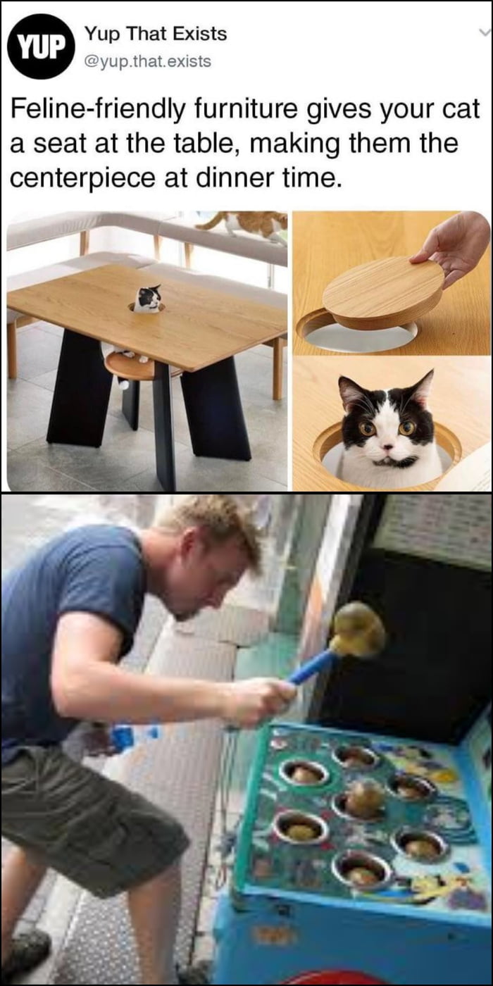 Wack-a-Mole: Enhanced Edition. - 9GAG