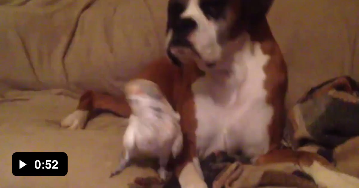 Push it... push it real good - 9GAG