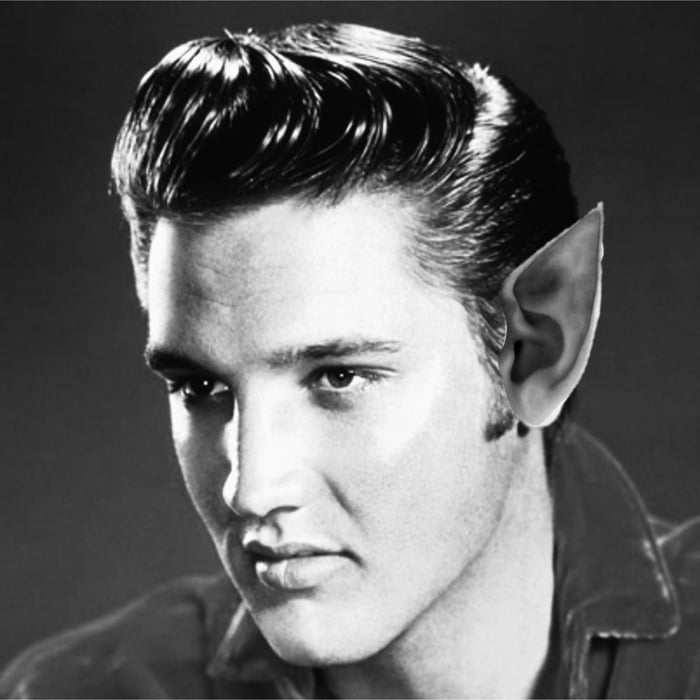 Elvish Presley - 9GAG