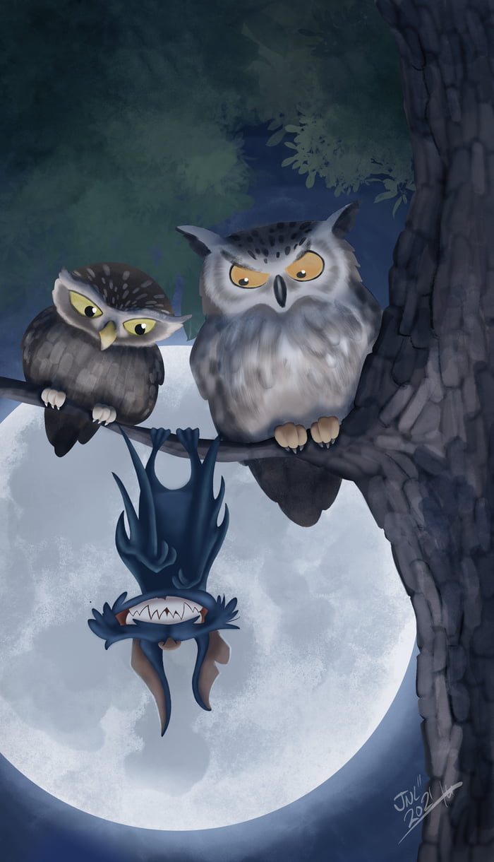 Owls being pissed - 9GAG