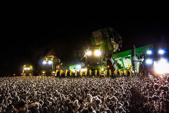 Cotton farm with harvesting machines looks like a concert at night - 9GAG