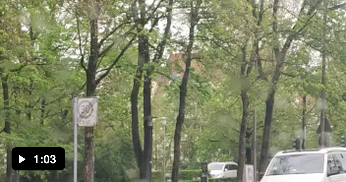 In Germany zebra crossing is very respected. - 9GAG