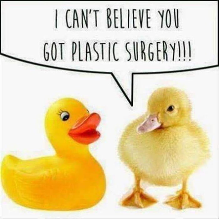 Funny Duck Lips Quotes | Lipstutorial.org