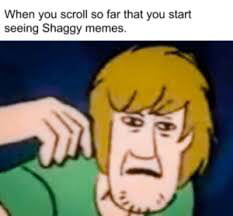 Shaggy - 9GAG