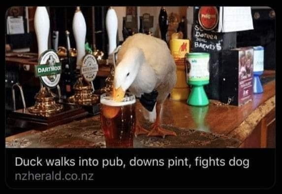 Biggest Duckus, the mightiest featherweight - 9GAG