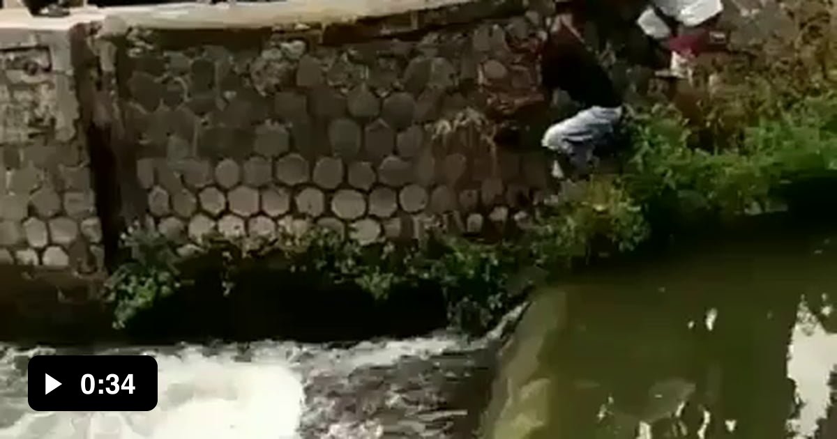 Wait for it. Wadu heck!? - 9GAG