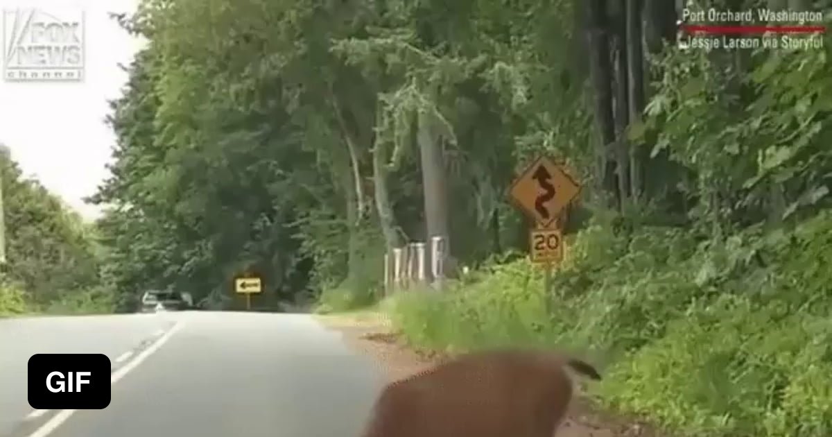 Not dead, just taking a little rest. - 9GAG