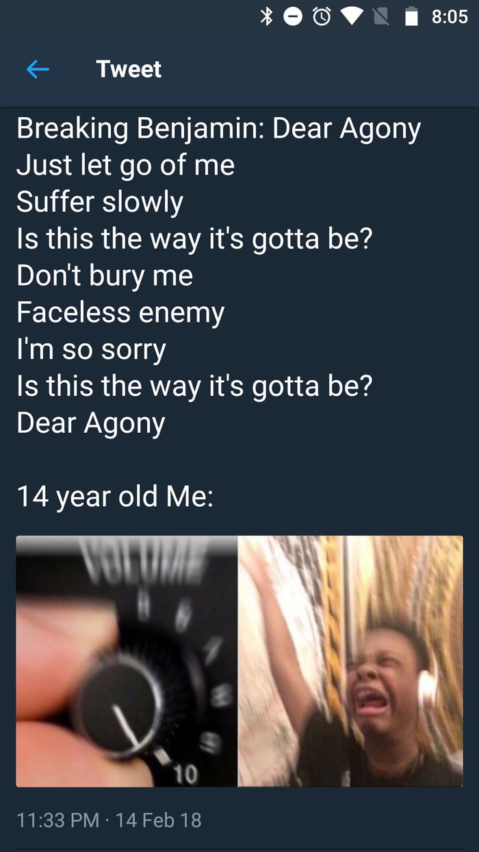 Breaking Benjamin fans - 9GAG