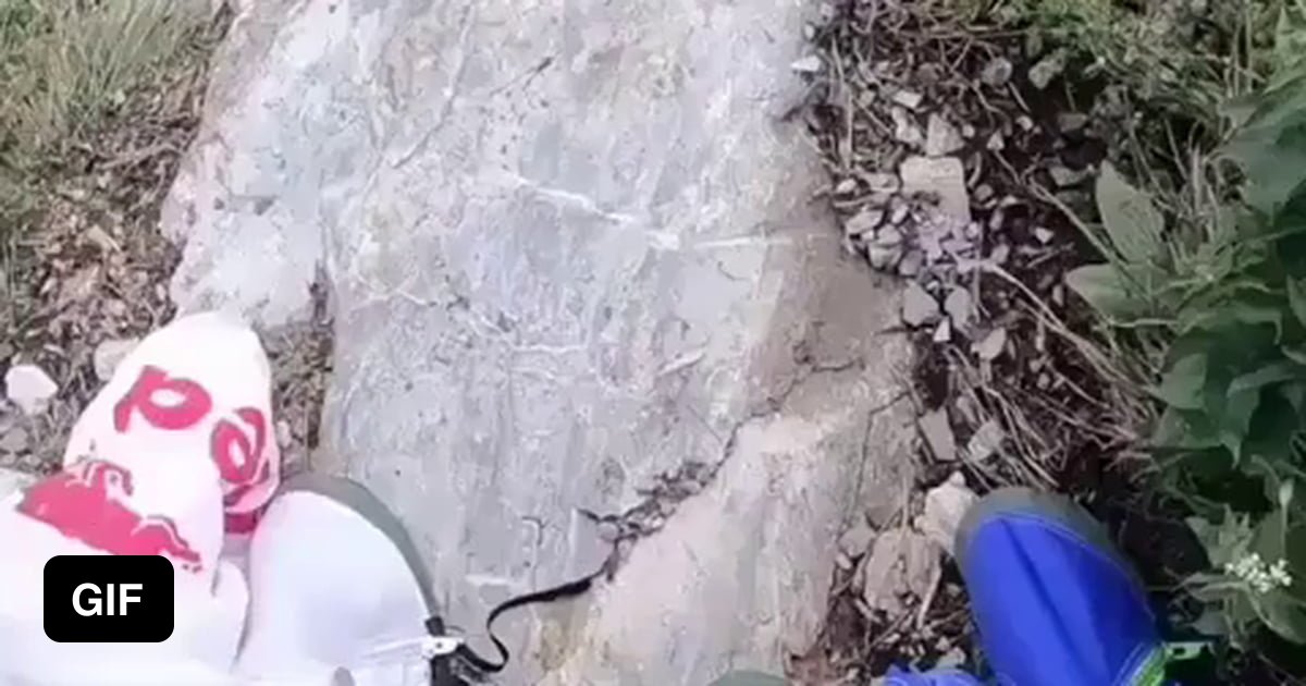 Human flying squirrel - 9GAG