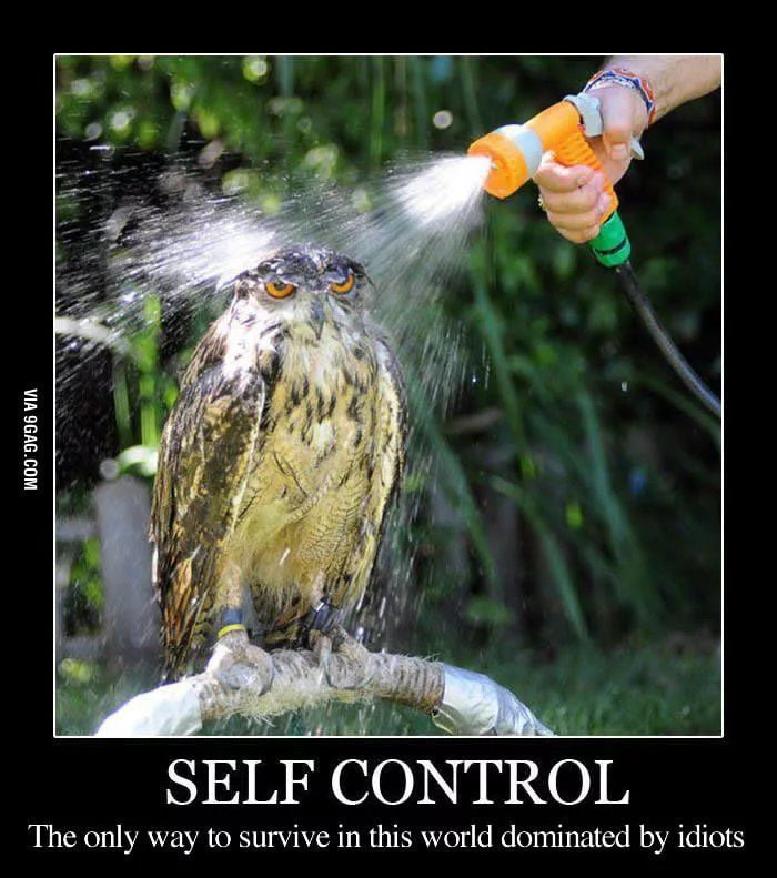 Self control - 9GAG