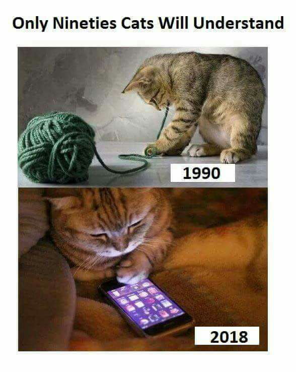 "I'm 2000s cat and I remember this" - 9GAG