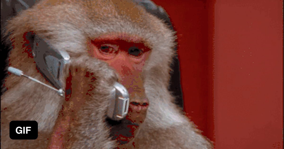 When the call center puts you on hold for the 12th times and you are ...