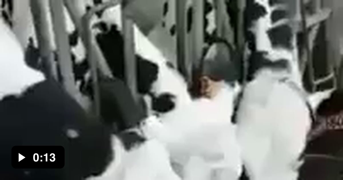 Greedy big boi - 9GAG