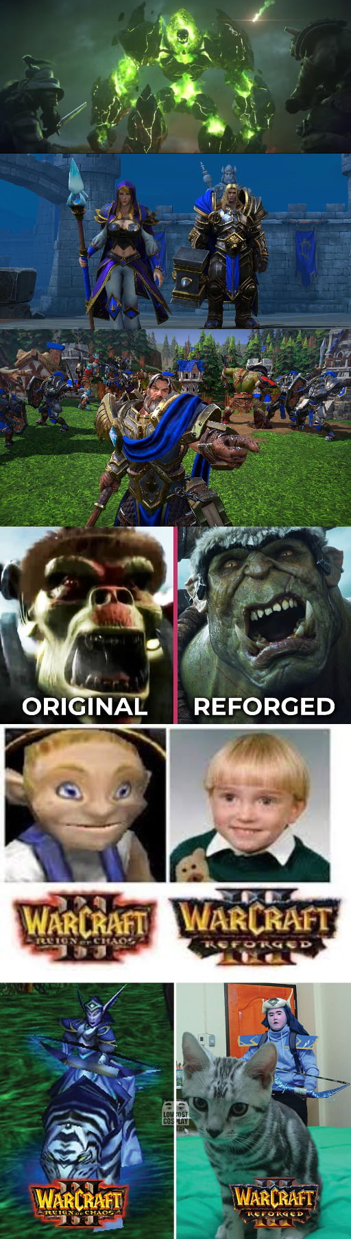 Mha hart mah sole. warcraft reforged is out today! - 9GAG