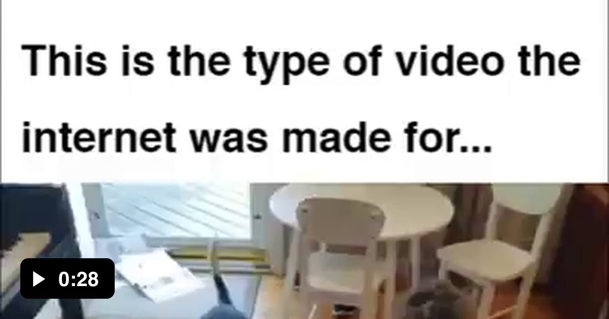 Get that dog a record deal - 9GAG