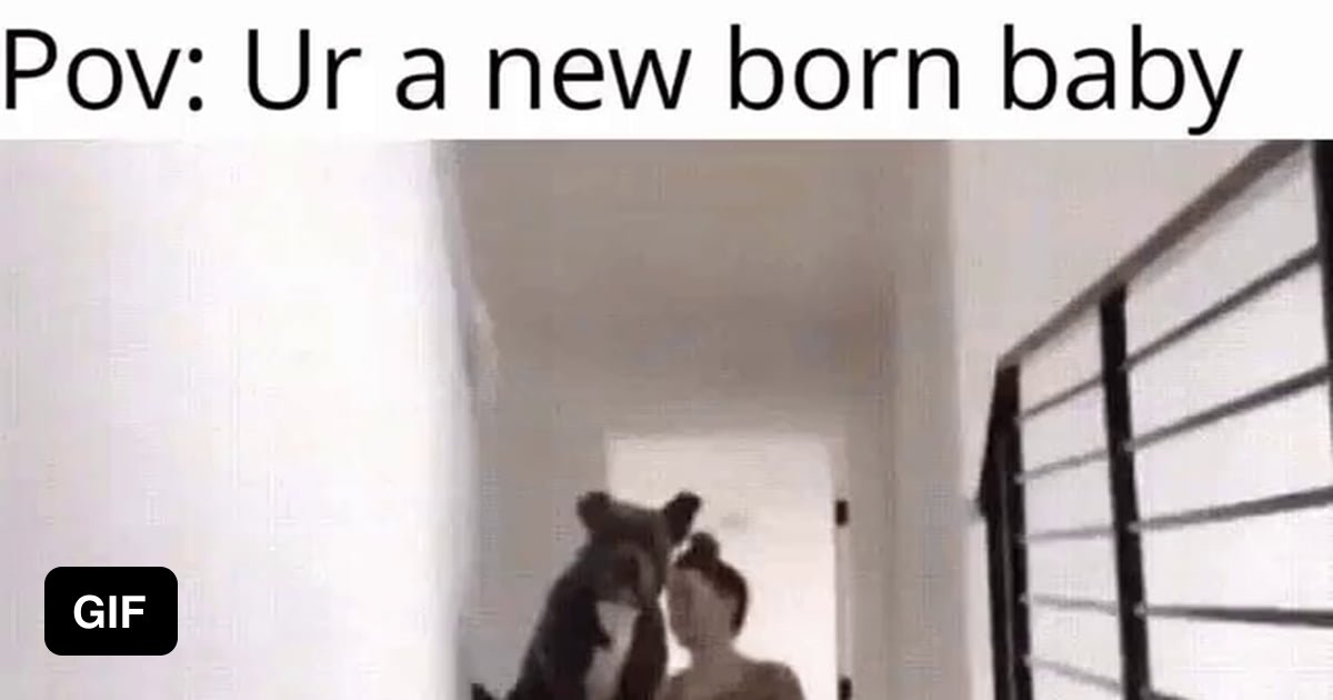 He Just Wants To Play Promise 9gag