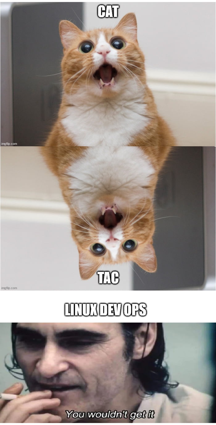 When junior dev debugs along Senior DevOps - 9GAG