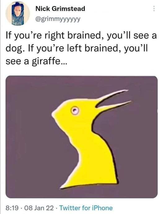 Life of brian - 9GAG