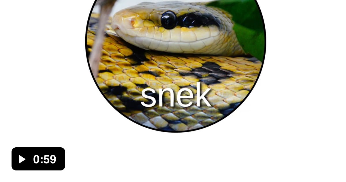 Snek - 9GAG