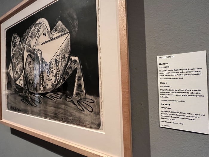 It is Wednesday my Pablo Picasso - 9GAG