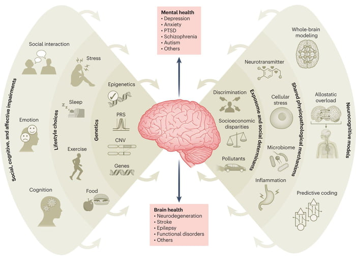 Diagram showing common and interconnected levels of analysis across ...