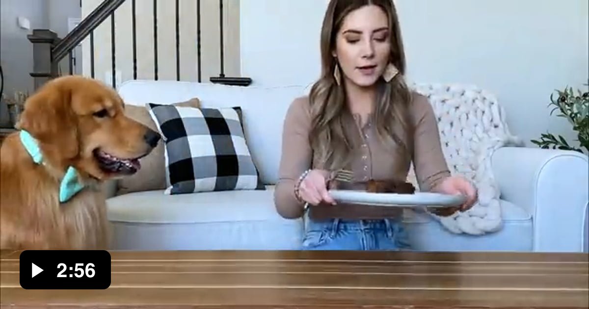 He's a good boi! - 9GAG