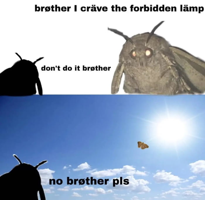 If you bring back old memes, don’t forget the moth - 9GAG