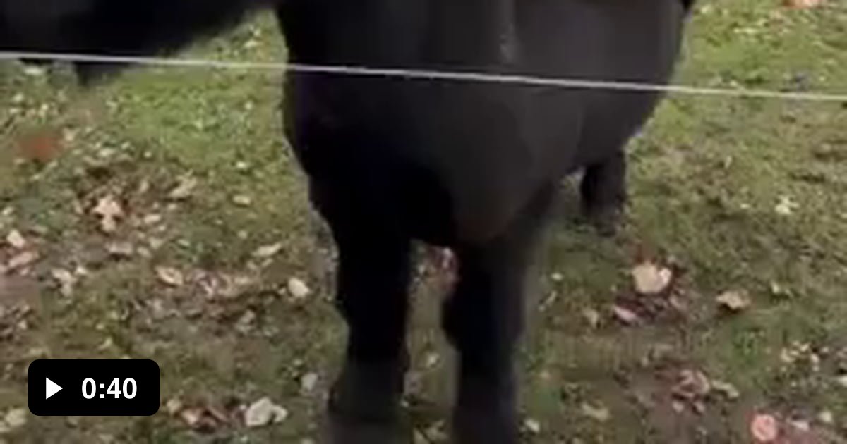 When its Playtime - 9GAG