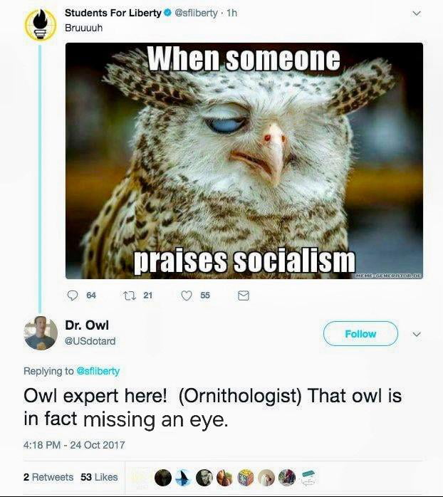 Poor owl - 9GAG