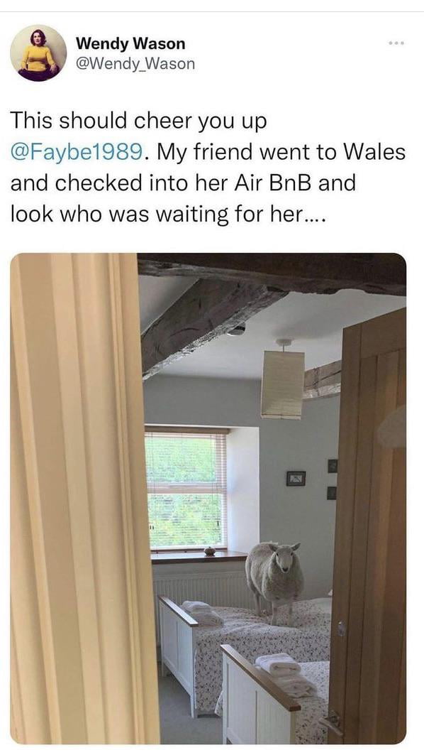 This Is So Cute 9gag