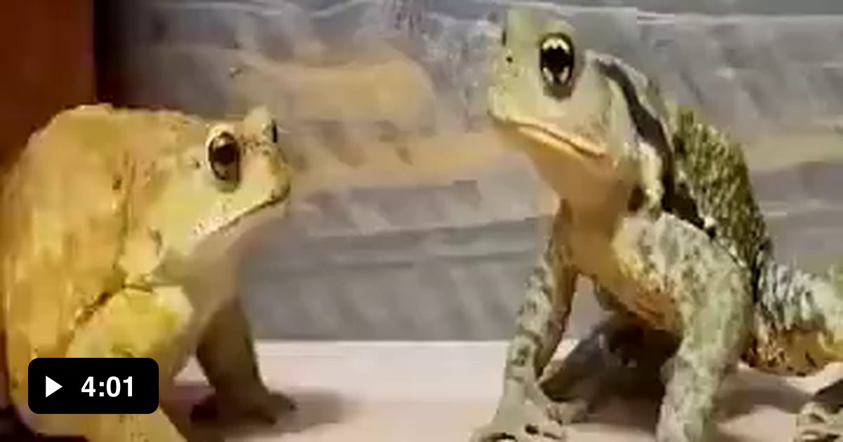 Its Wednesday 9gag 2640
