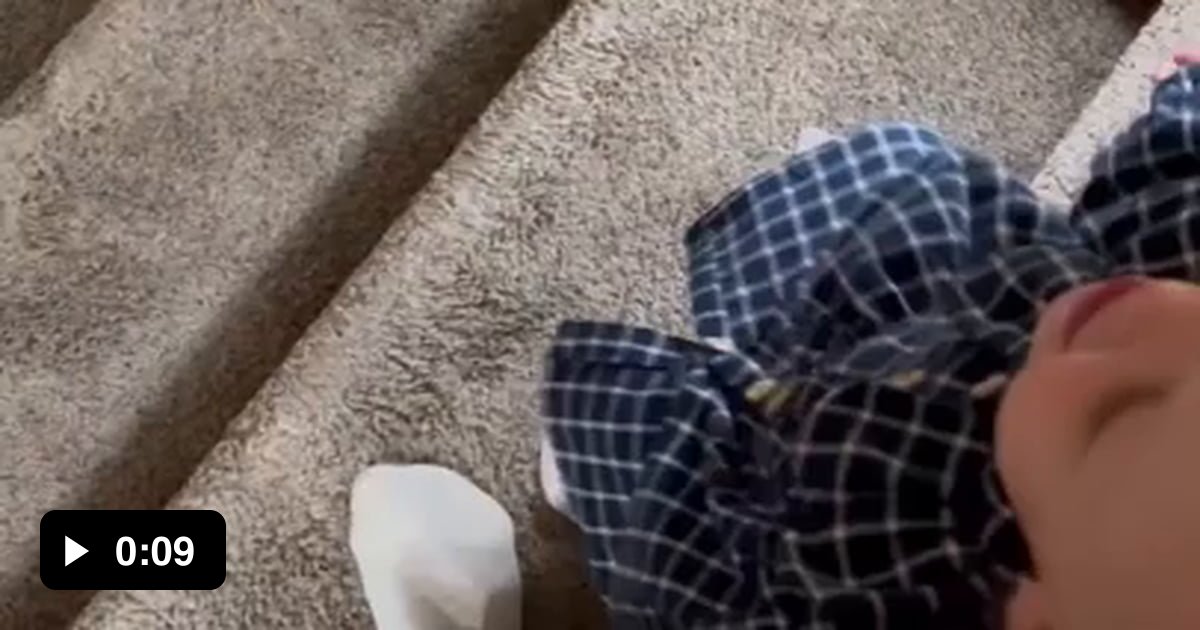 Do A Barrel Roll! - 9GAG