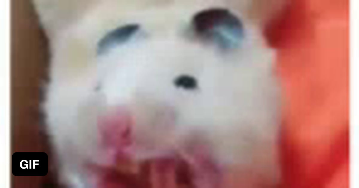 Hamster yawns - 9GAG