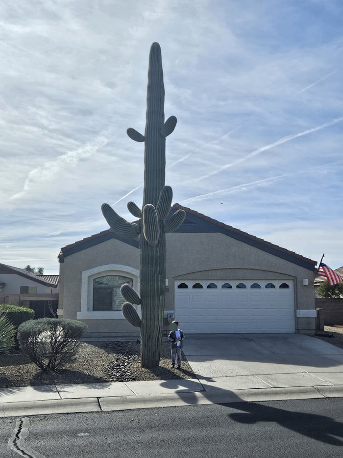 Check out this cactus - 9GAG