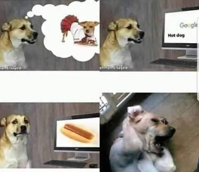 Hot dogs in your area - 9GAG