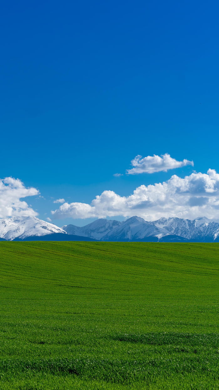 Windows xp wallpaper - 9GAG