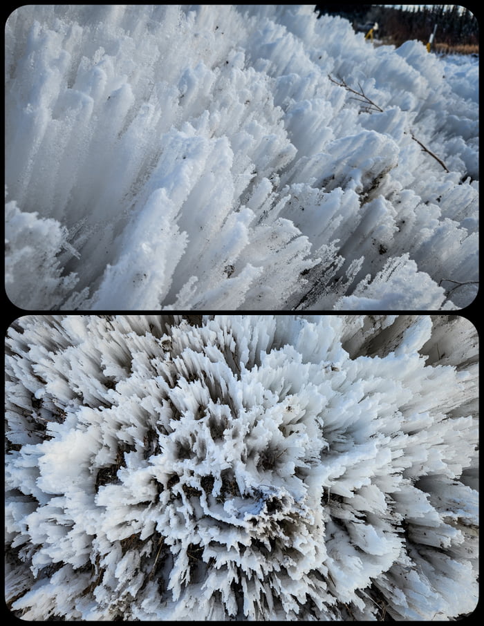 Odd snow melt patterns on my work site. - 9GAG