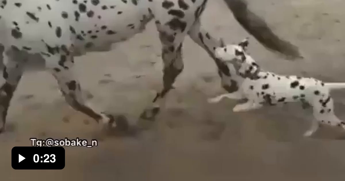 Shes Not Your Mom 9gag